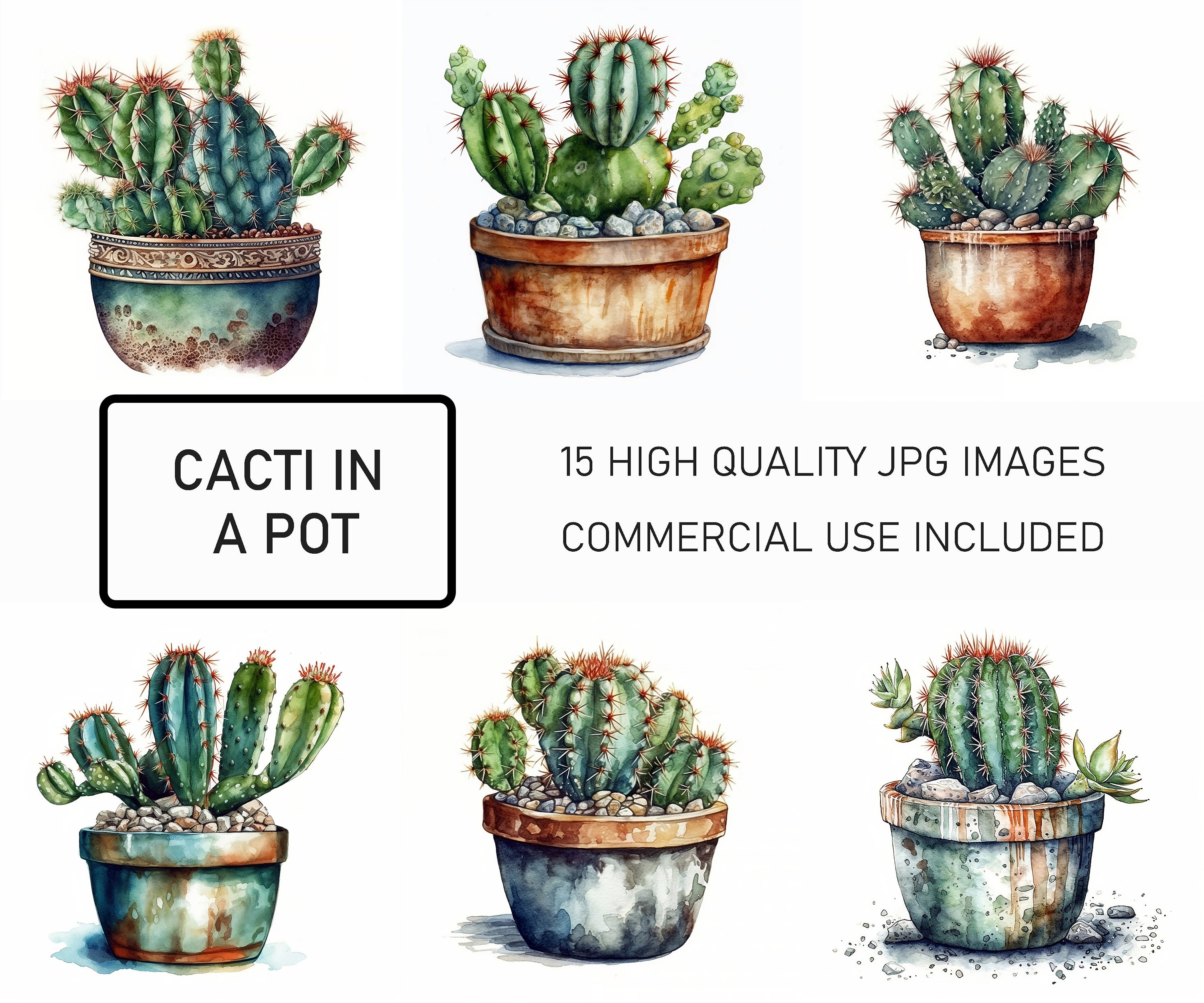 Cacti in A Pot Clipart Bundle, 15 High Quality Jpgs, Cactus Clipart ...