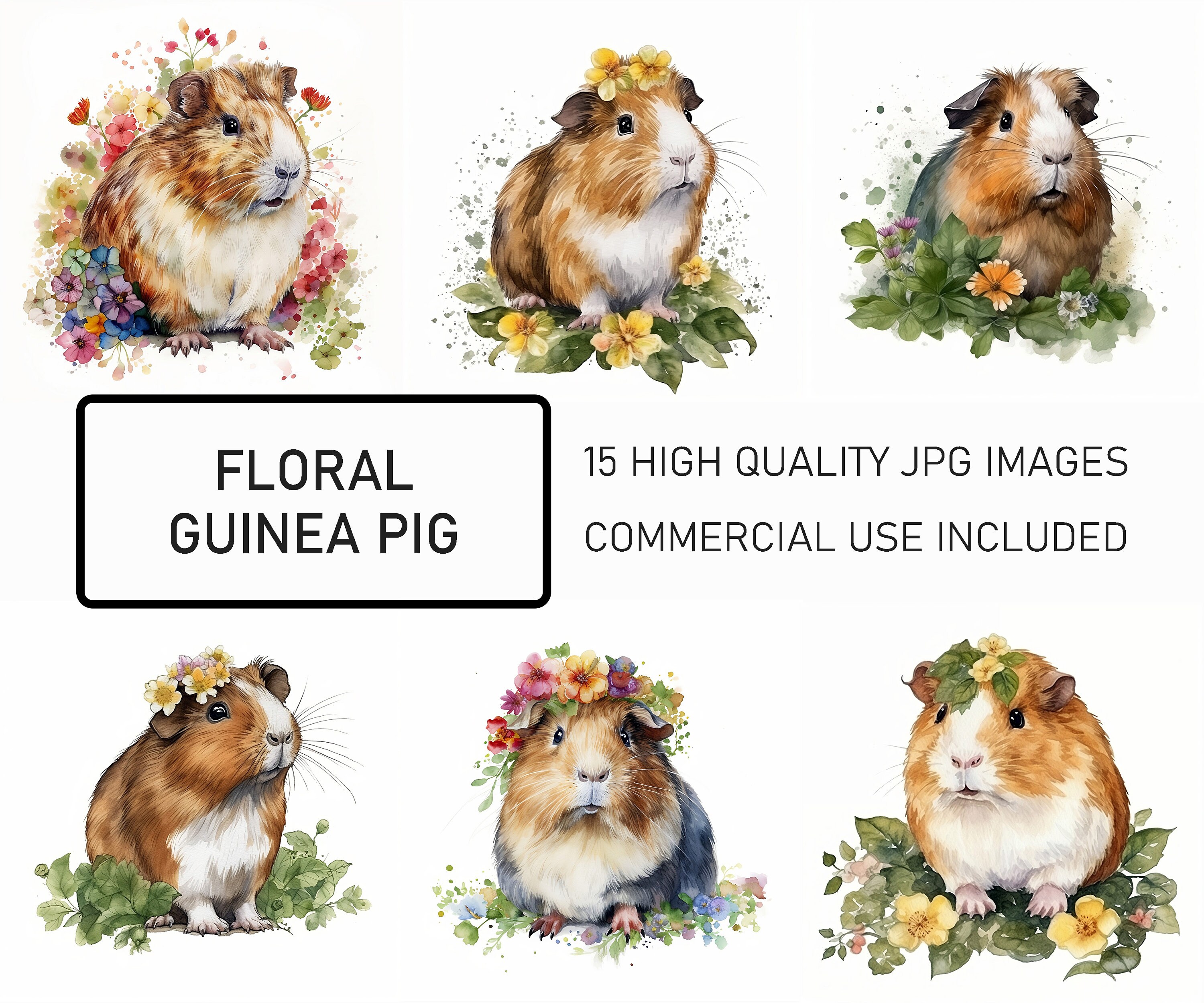 Floral Guinea Pig Clipart Bundle 15 High Quality Jpgs Rat - Etsy