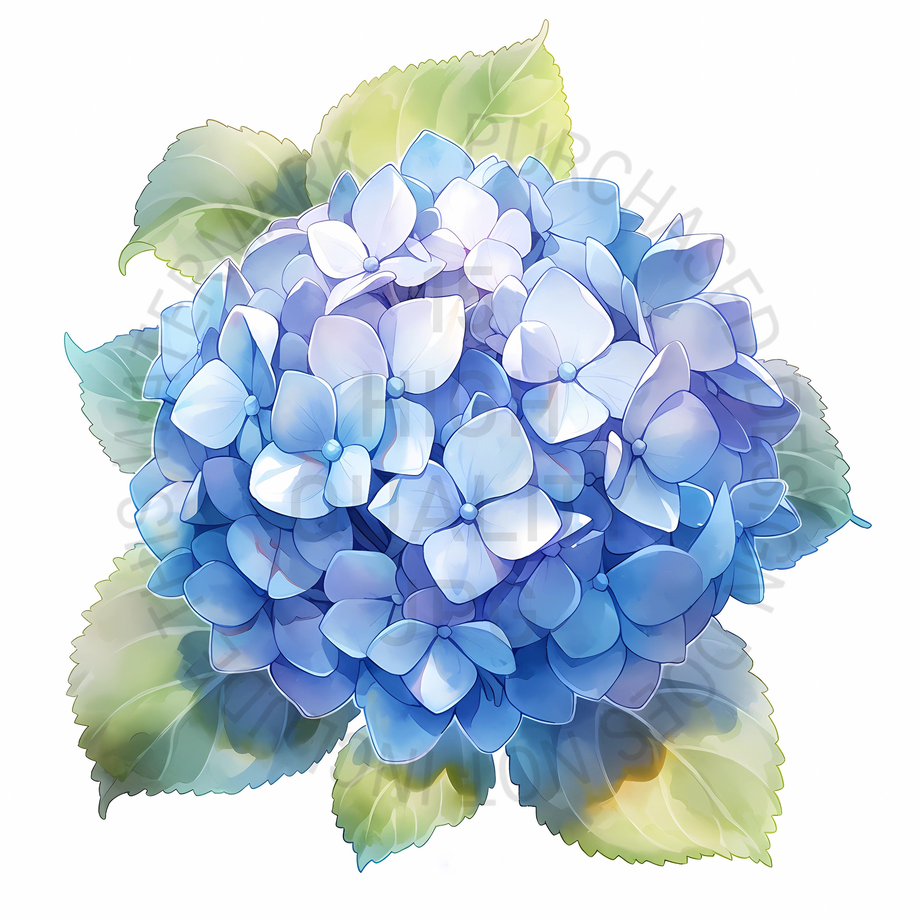 Hydrangeas Clipart Bundle - 16 High Quality Jpgs - Digital Downloads - Card Making, Mixed Media ...