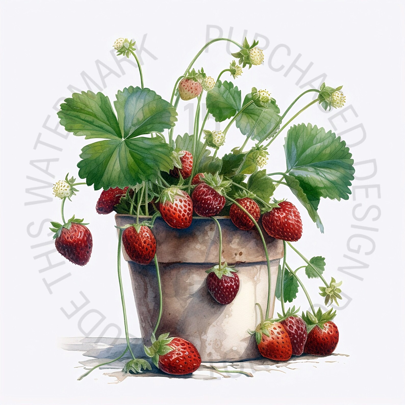 Strawberry Plant in A Pot Clipart Bundle, 15 High Quality Jpgs, Plant ...