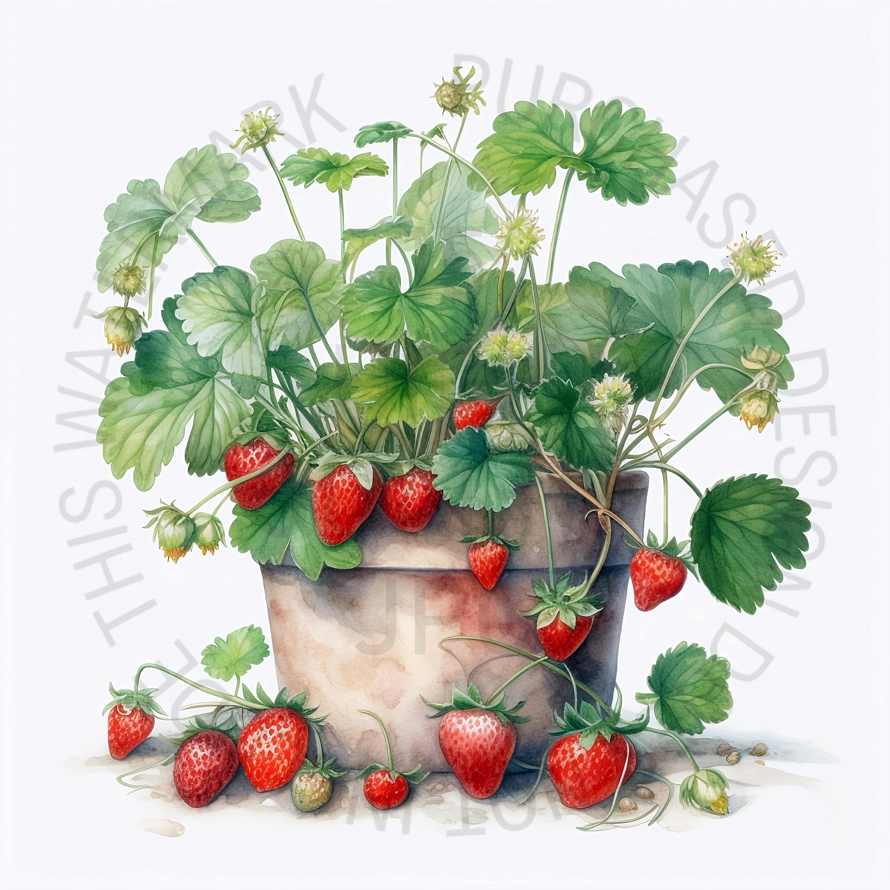 Strawberry Plant in A Pot Clipart Bundle, 15 High Quality Jpgs, Plant ...