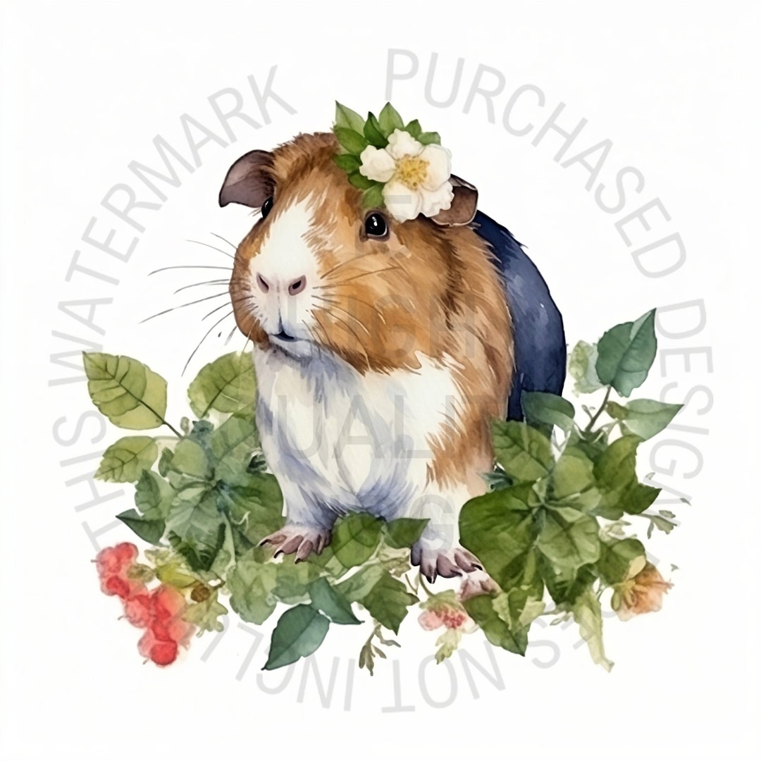 Floral Guinea Pig Clipart Bundle, 15 High Quality Jpgs, Rat Clipart ...