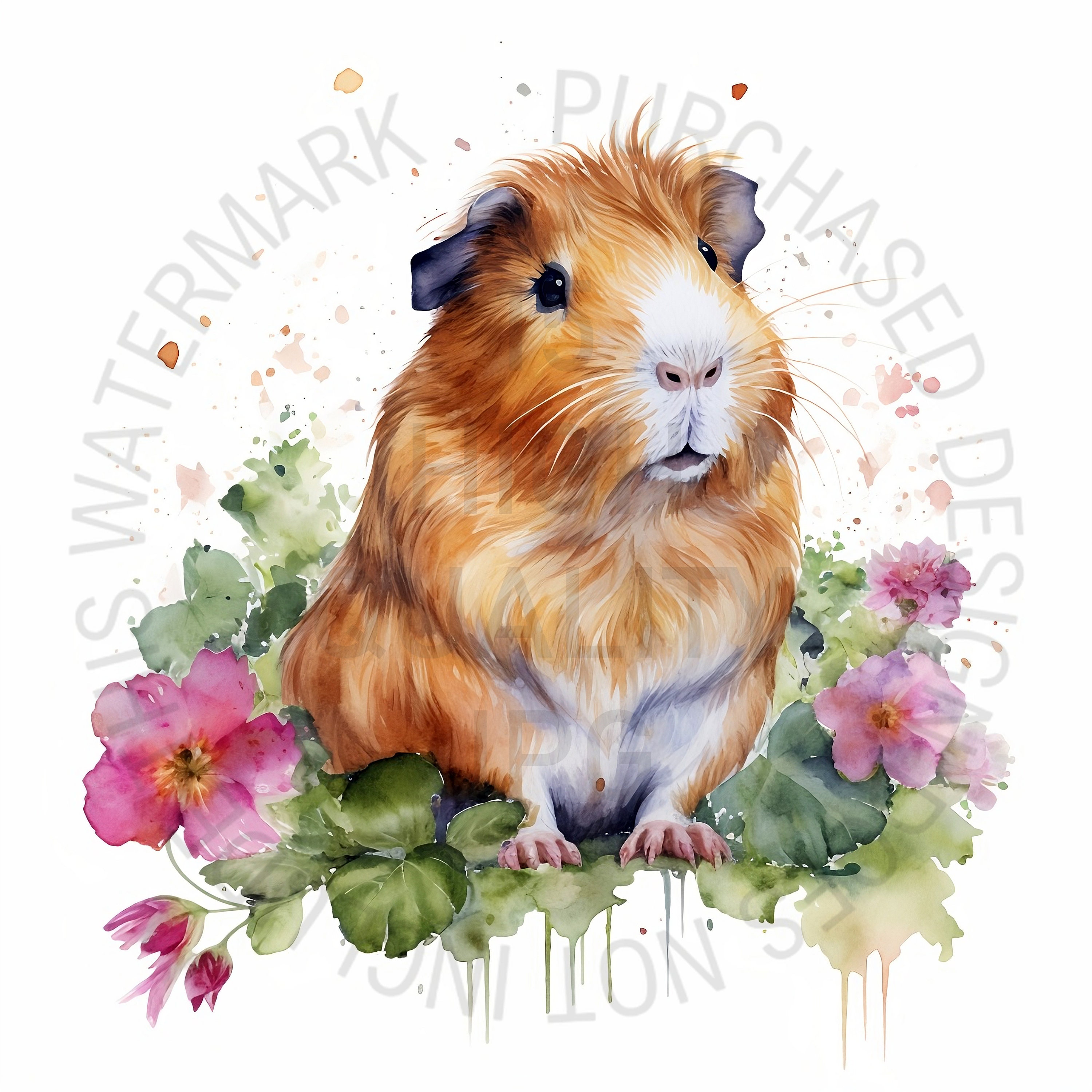 Floral Guinea Pig Clipart Bundle, 15 High Quality Jpgs, Rat Clipart ...