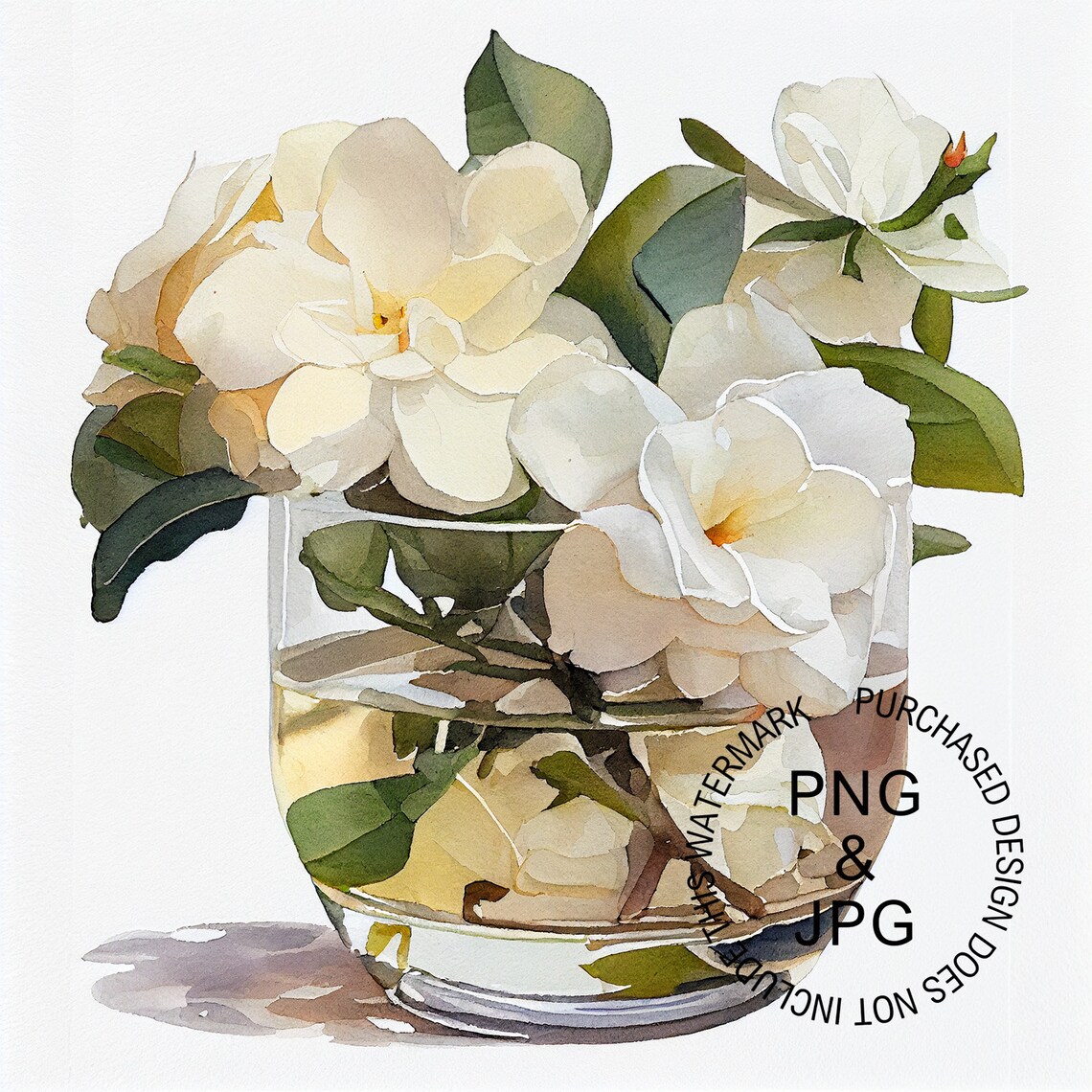 Gardenias Glass Vase Clipart Bundle, Gardenias Png, Rustic Clipart ...