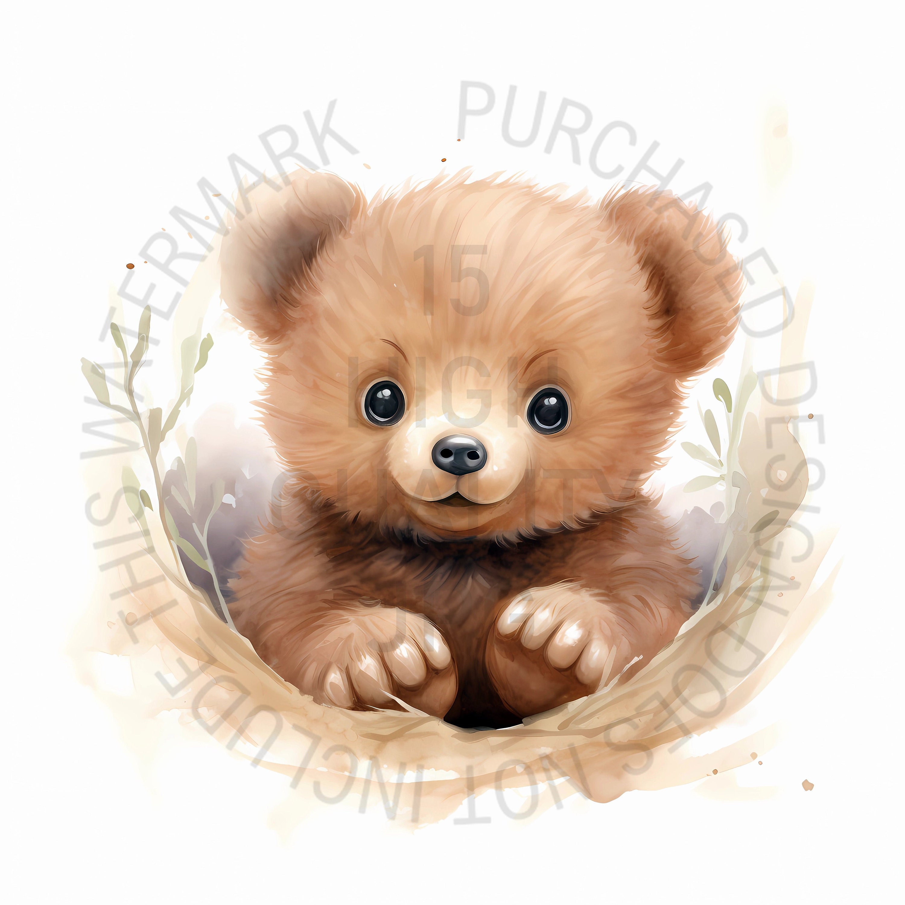 Baby Bear Cub Clipart Bundle - 16 High Quality Jpgs - Digital Downloads ...