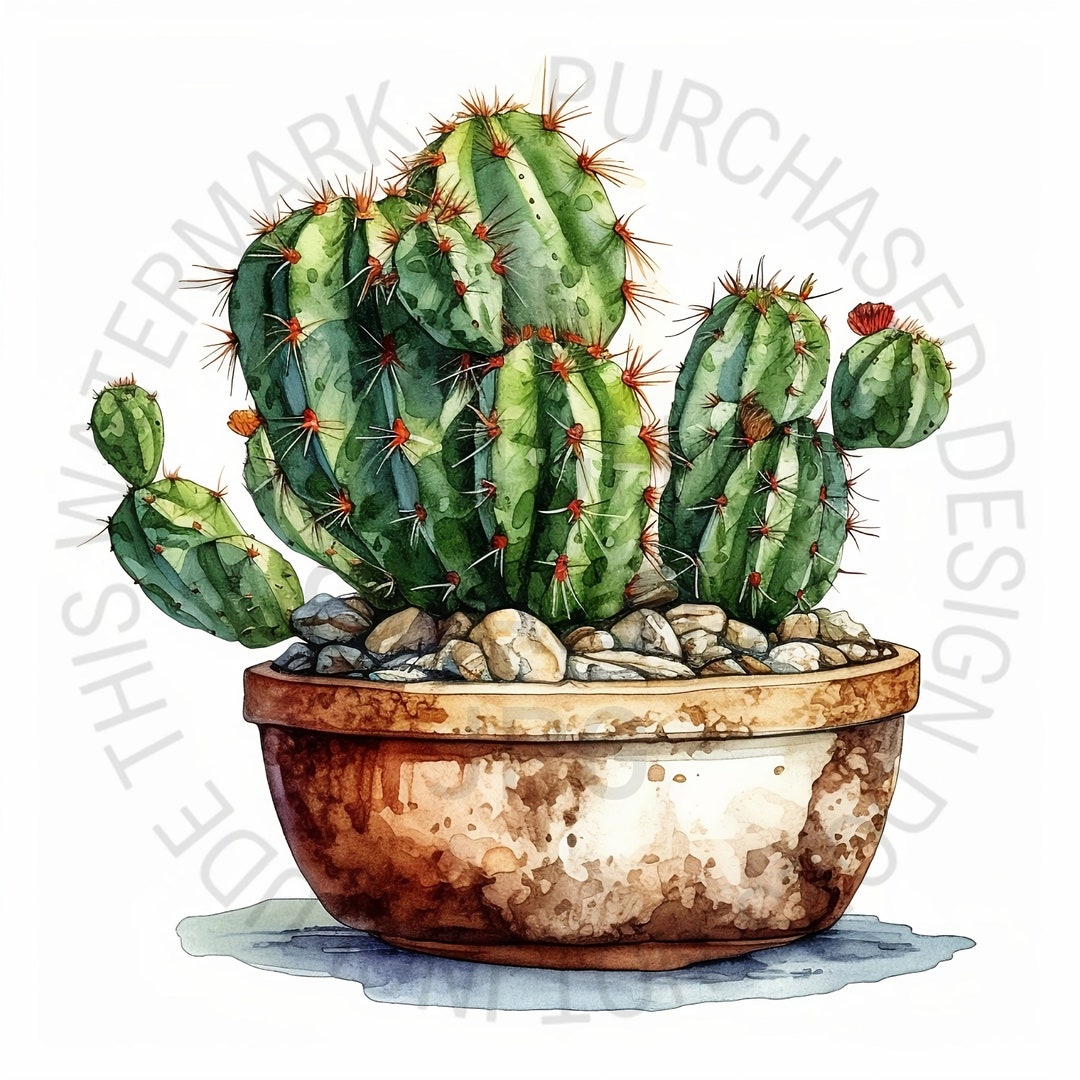 Cacti in A Pot Clipart Bundle, 15 High Quality Jpgs, Cactus Clipart ...