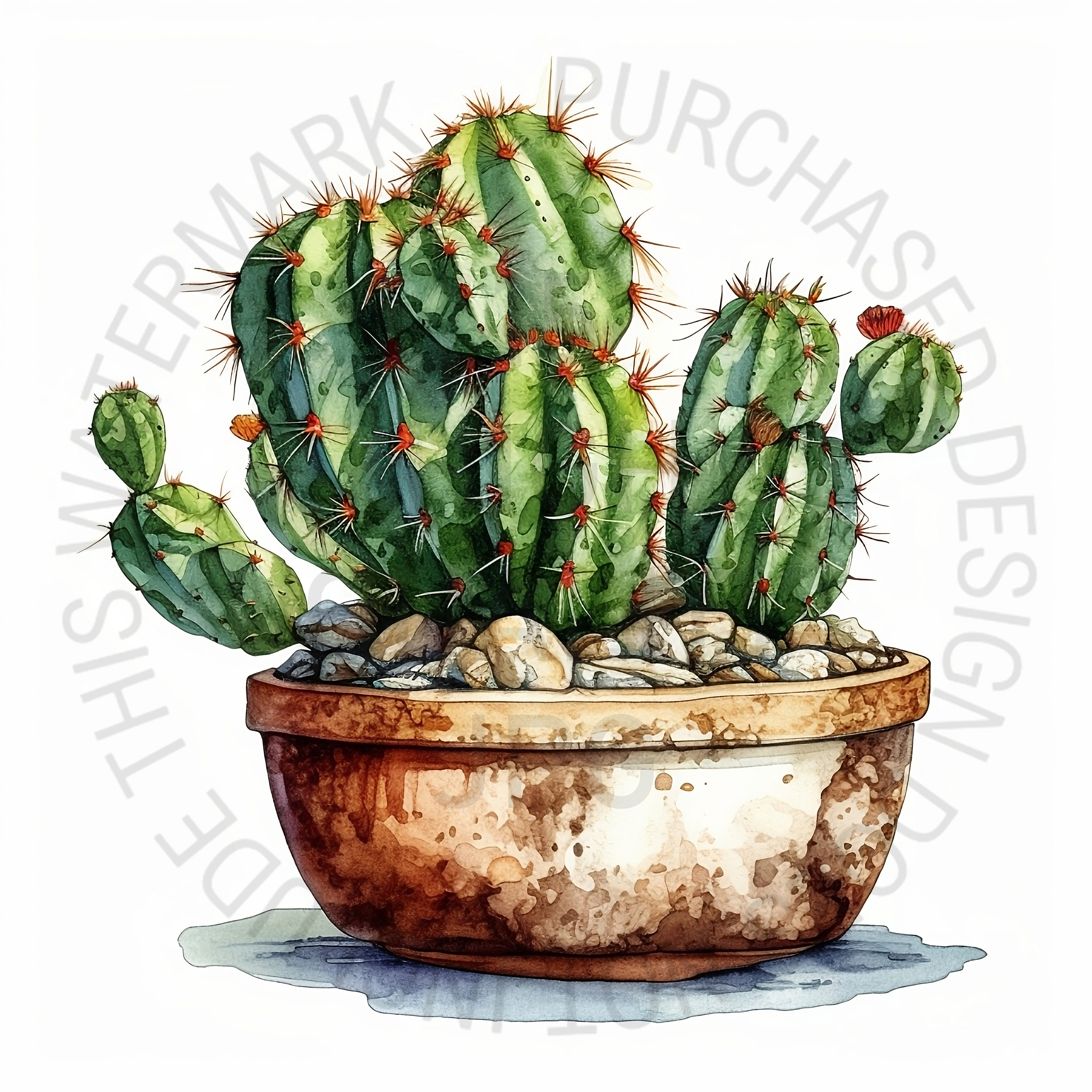 Cacti in A Pot Clipart Bundle, 15 High Quality Jpgs, Cactus Clipart ...