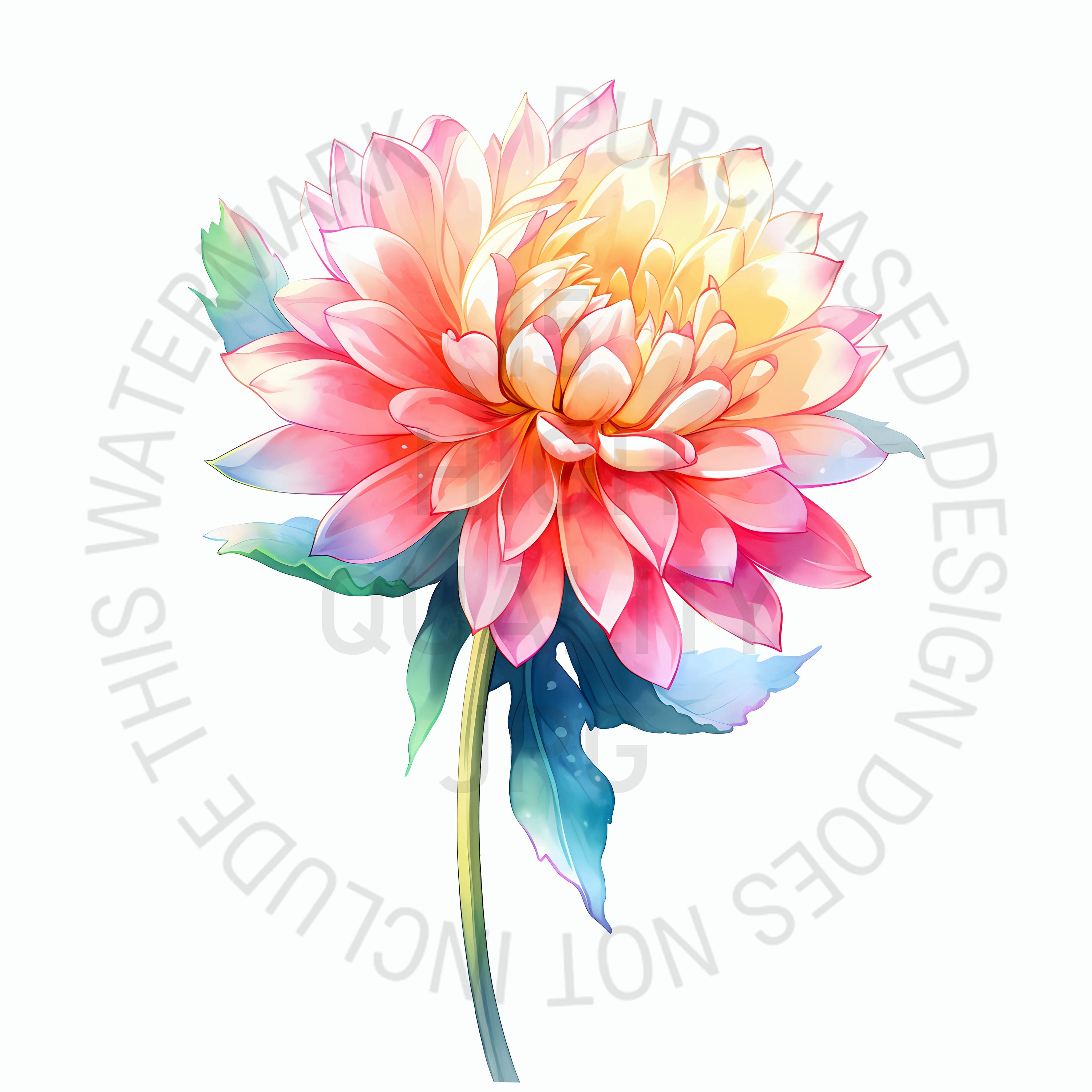 Dahlia Flower Clipart Bundle - 15 High Quality Jpgs - Digital Downloads ...