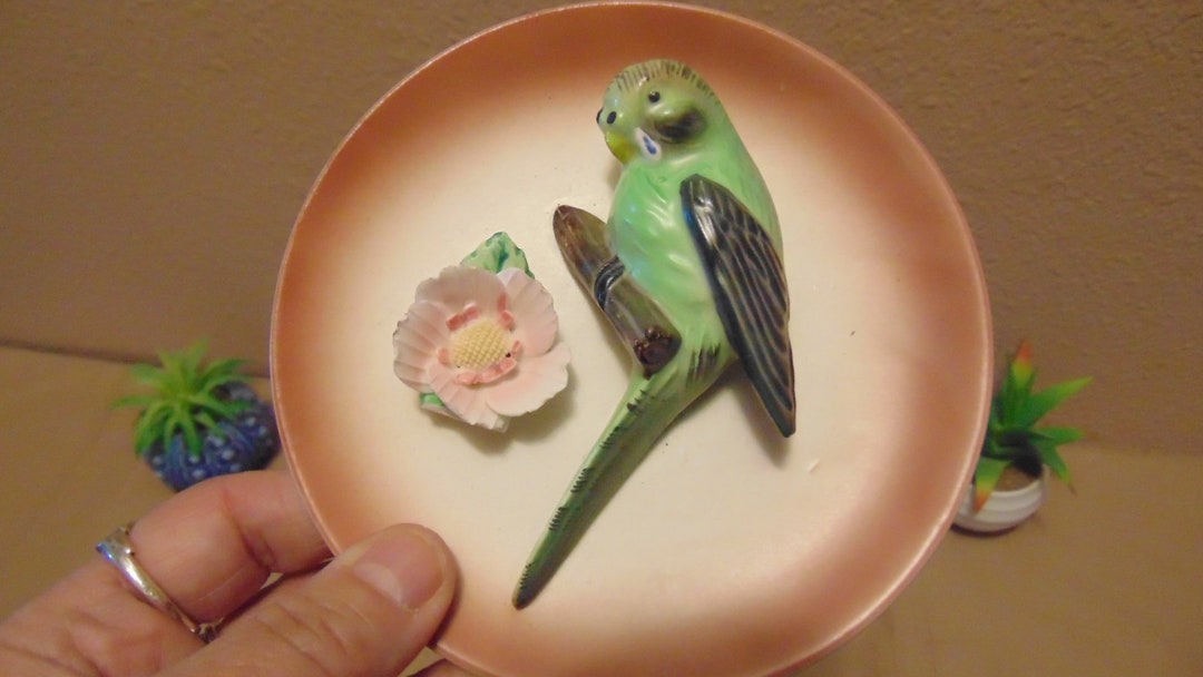 Darling Vintage Norcrest Parakeet Wall Plate Hanging - Etsy