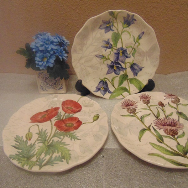 Botanical Plates - Etsy