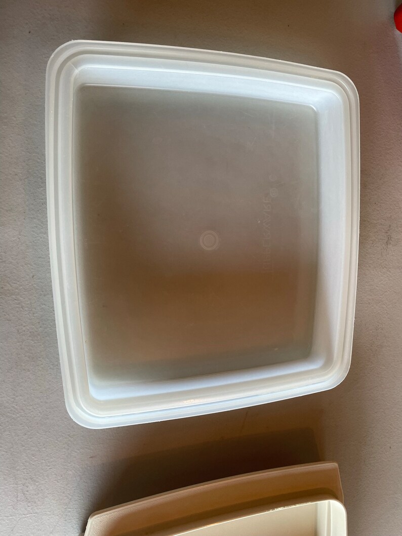 Tupperware Egg Carrier - Etsy