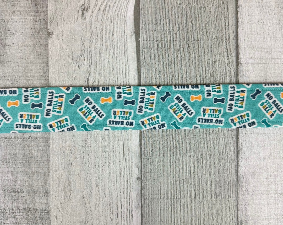 No Balls Still a Baller Dog Collar - Etsy