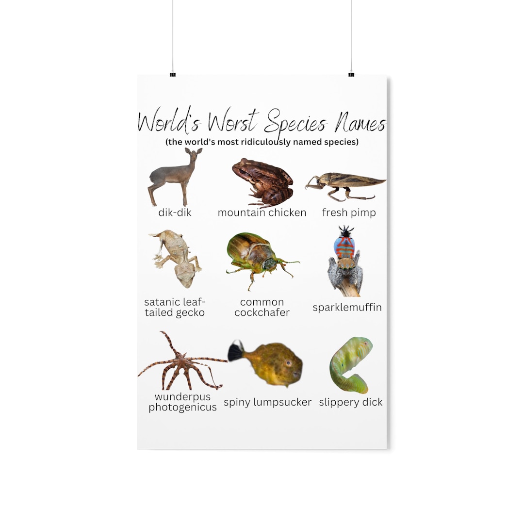 World's Worst Animal Names, 9 Weird Species Misnomers, Funny Wall Art ...