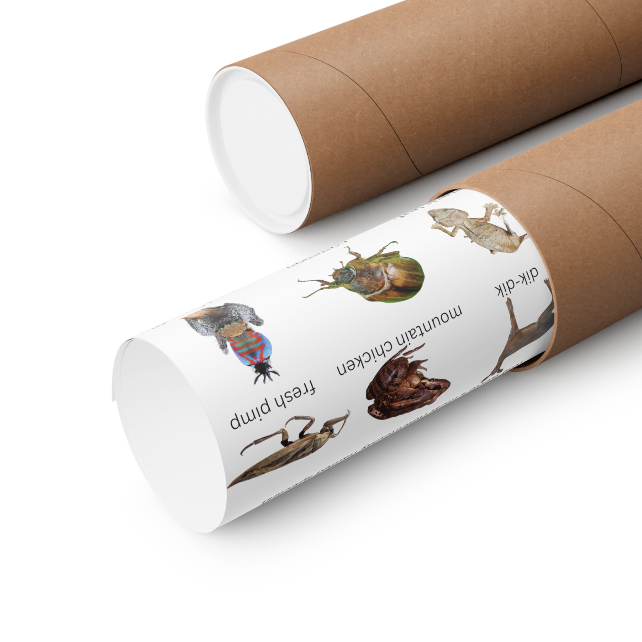 World's Worst Animal Names, 9 Weird Species Misnomers, Funny Wall Art ...