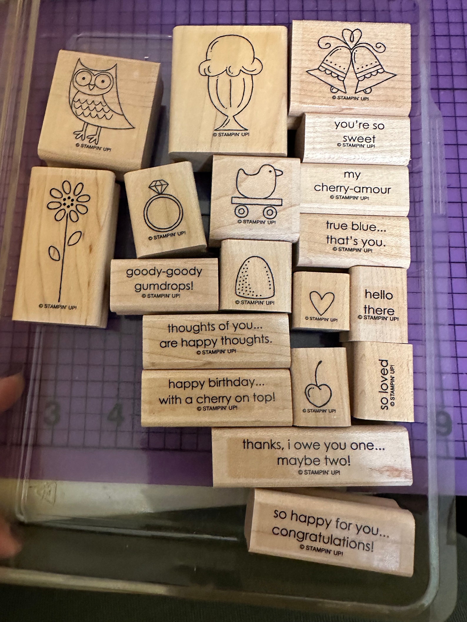 Retired Stampin up Wood Mount Set goody Goody Gumdrops 19 - Etsy