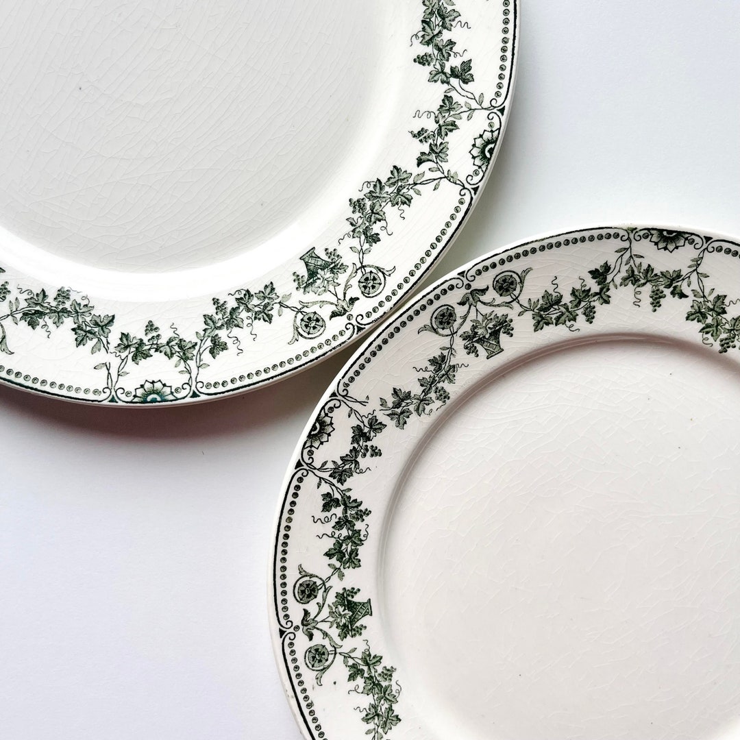 Platos de loza en loza modelo champagne siglo XIX - Etsy México