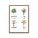 Persian Seasons Digital Print, Farsi Seasons for Nursery, Classroom ...