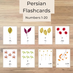 Persian Number Flashcards, Farsi Flashcards, Persian, Farsi, Flashcards ...
