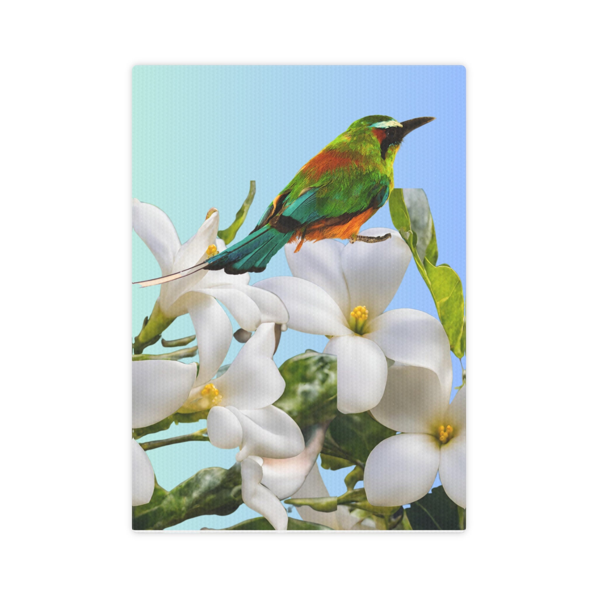 Nicaragua Bird Guardabarranco Canvas Gallery Wraps,nacional Bird, Gift ...