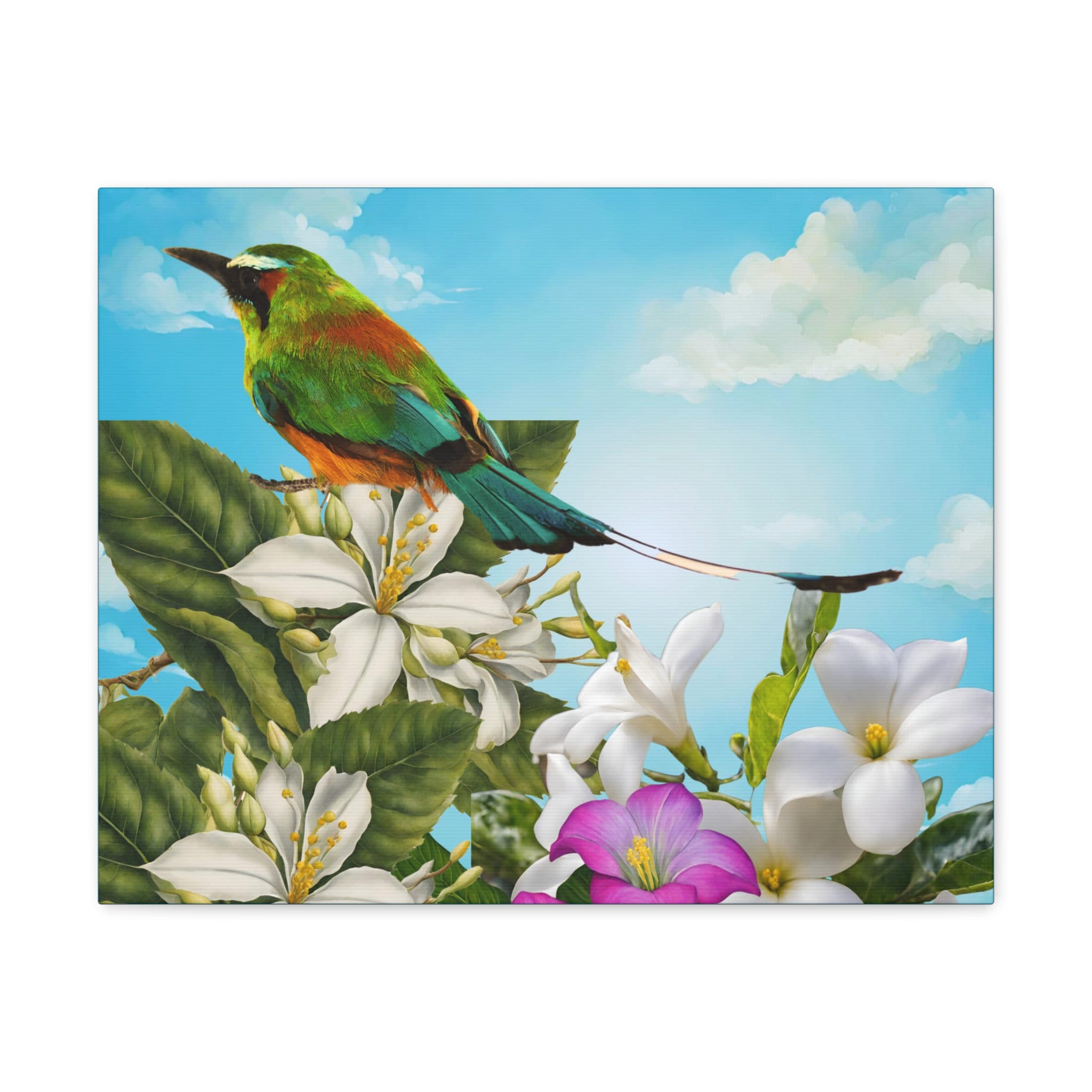 Nicaragua Bird Guardabarranco Canvas Gallery Wraps,nacional Bird, Gift ...