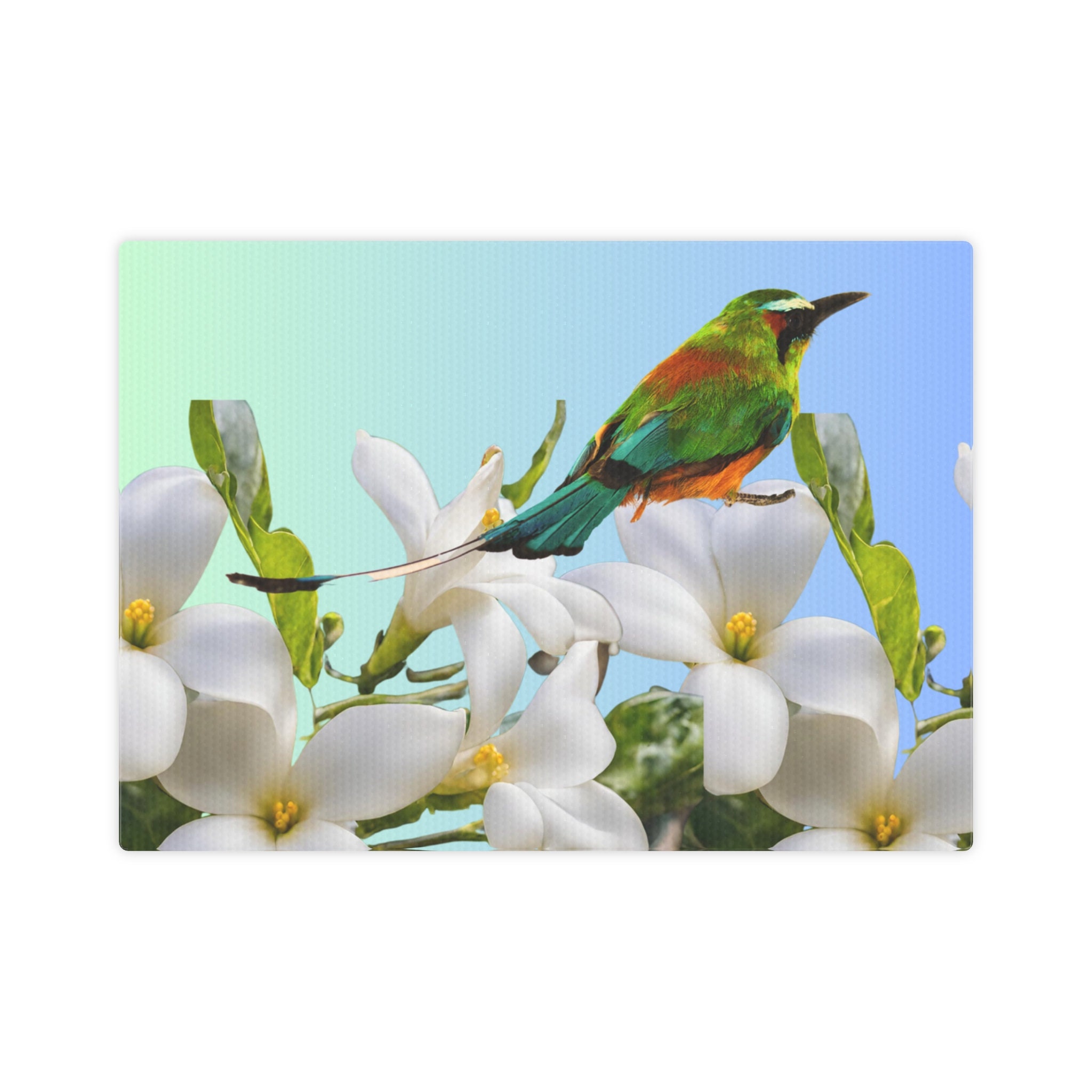 Nicaragua Bird Guardabarranco Canvas Gallery Wraps,nacional Bird, Gift ...