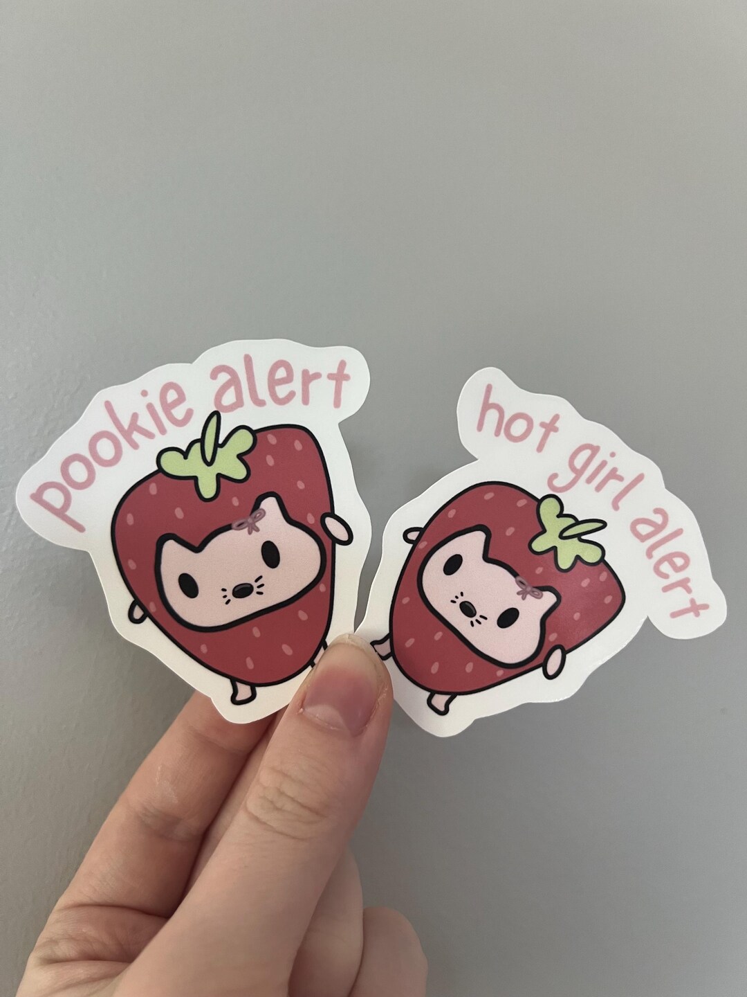 Strawberry Cat Pookie Sticker - Etsy