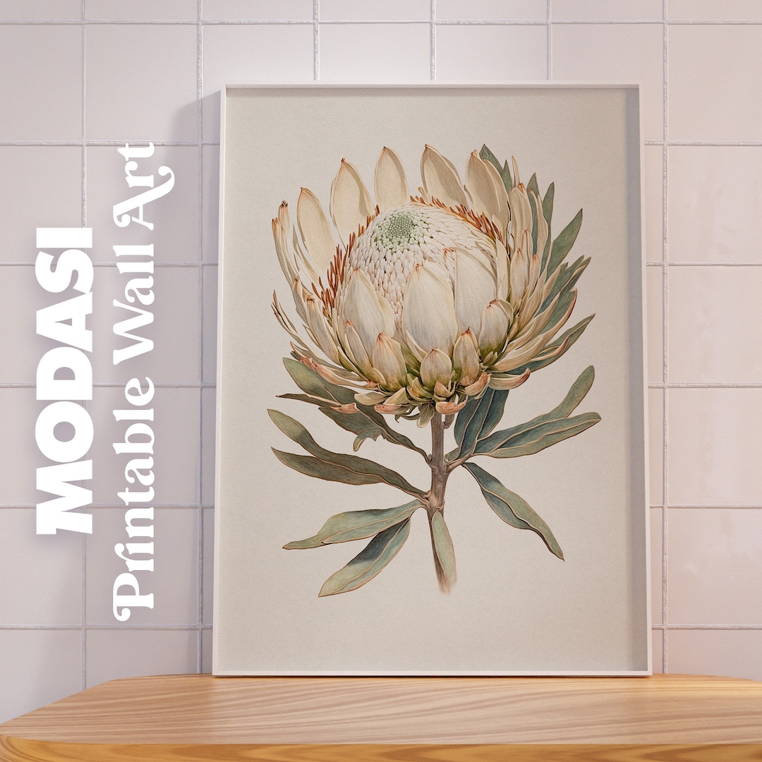 King Protea Watercolor Printable Botanical Wall Art Downloadable BOHO ...
