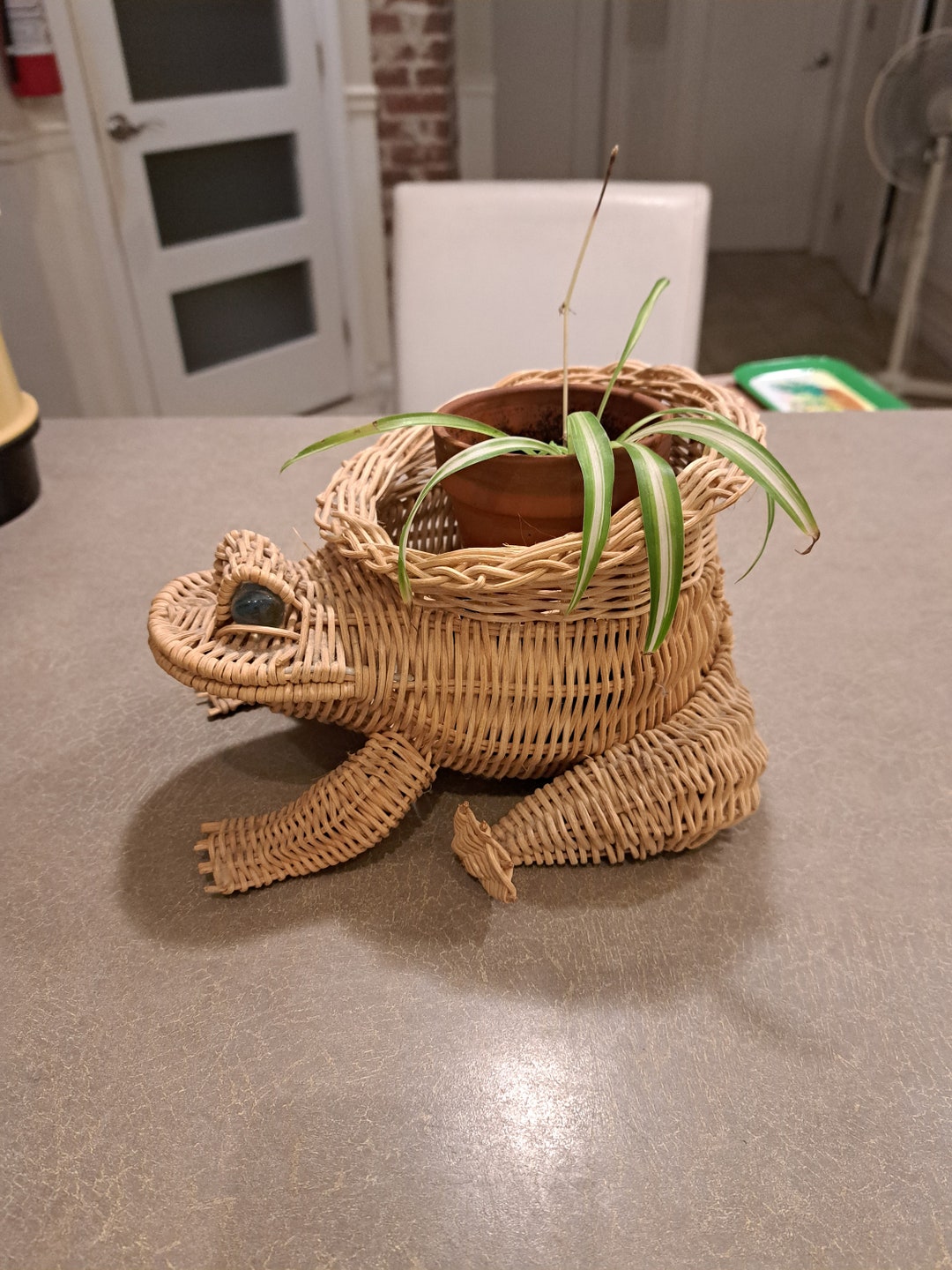 Vintage Wicker Frog Plant Holder - Etsy
