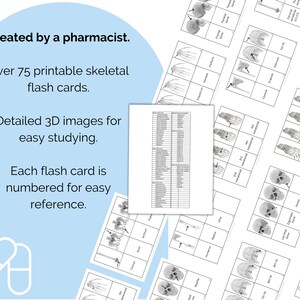Skeletal System Flash Cards Printable Digital Download, Med School Test ...