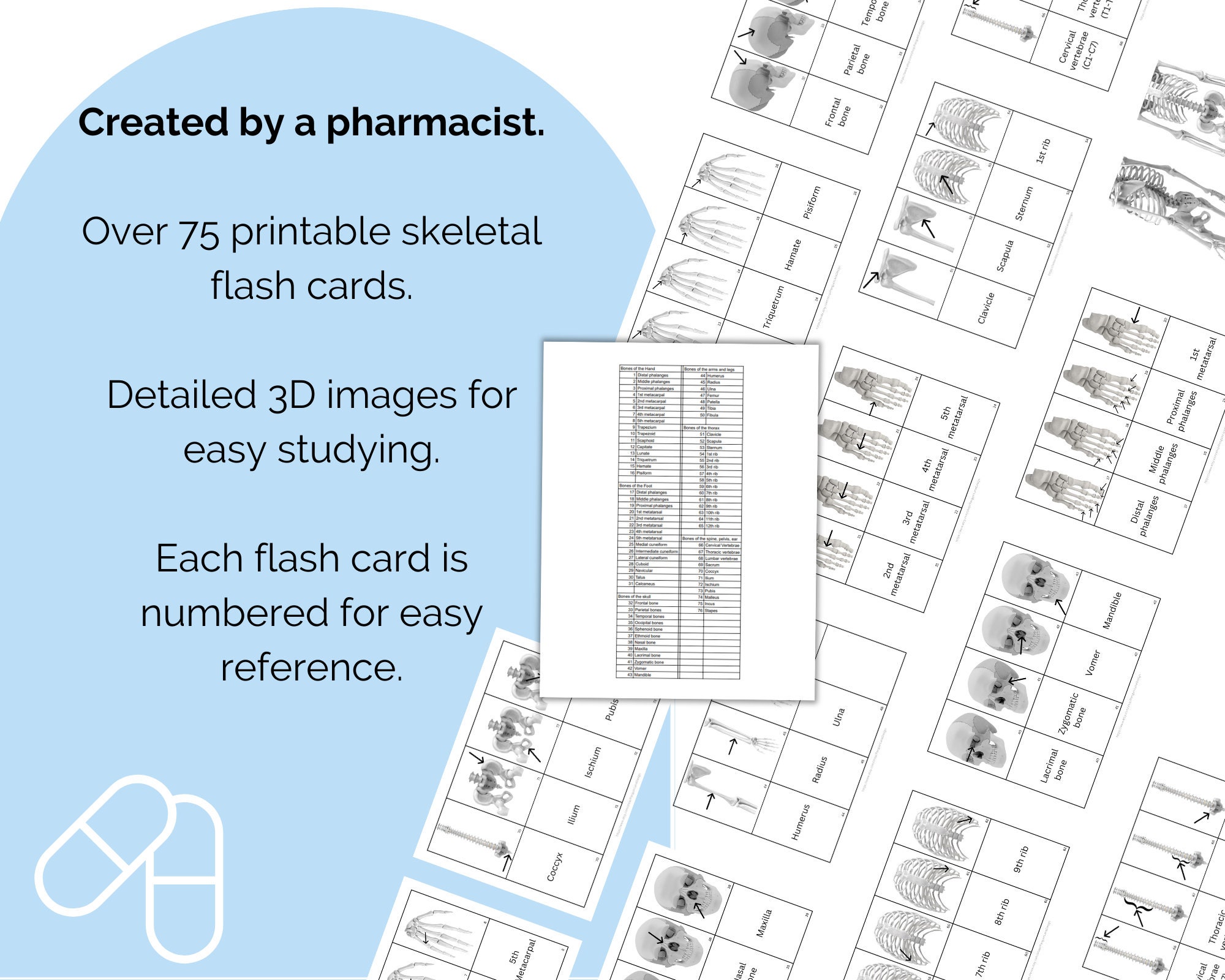 Skeletal System Flash Cards Printable Digital Download, Med School Test ...
