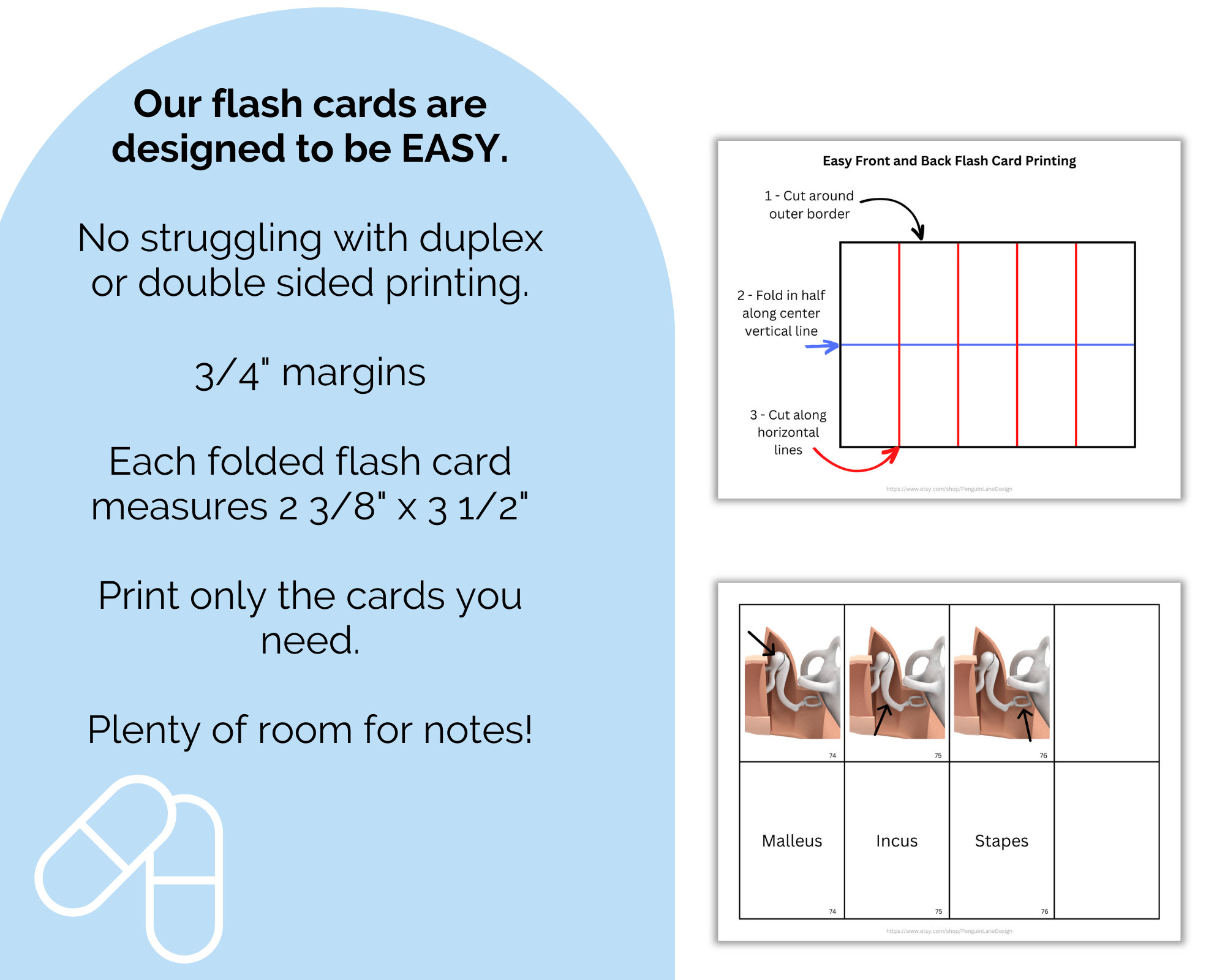 Skeletal System Flash Cards Printable Digital Download, Med School Test ...