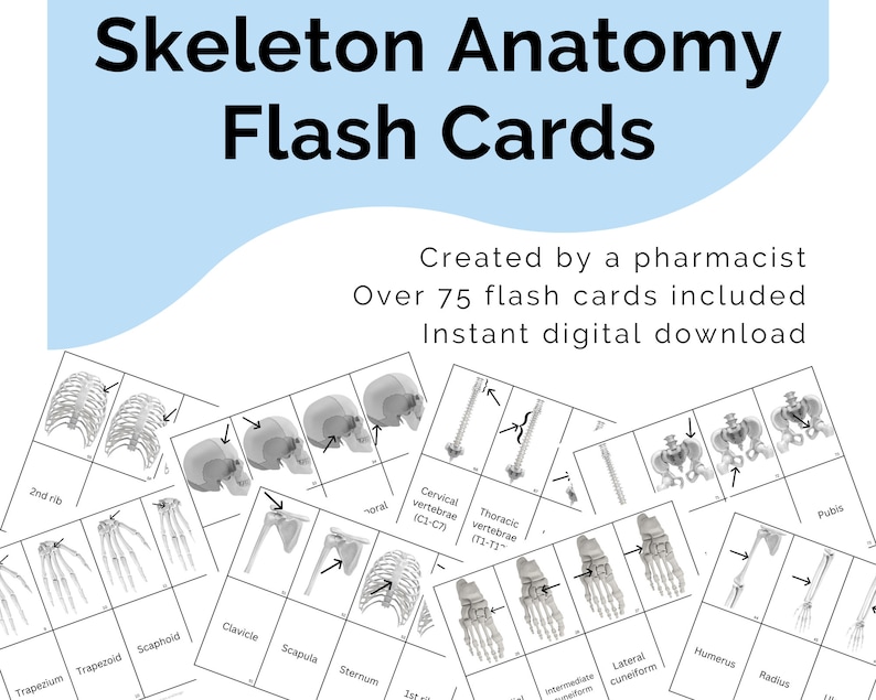 Skeletal System Flash Cards Printable Digital Download, Med School Test ...