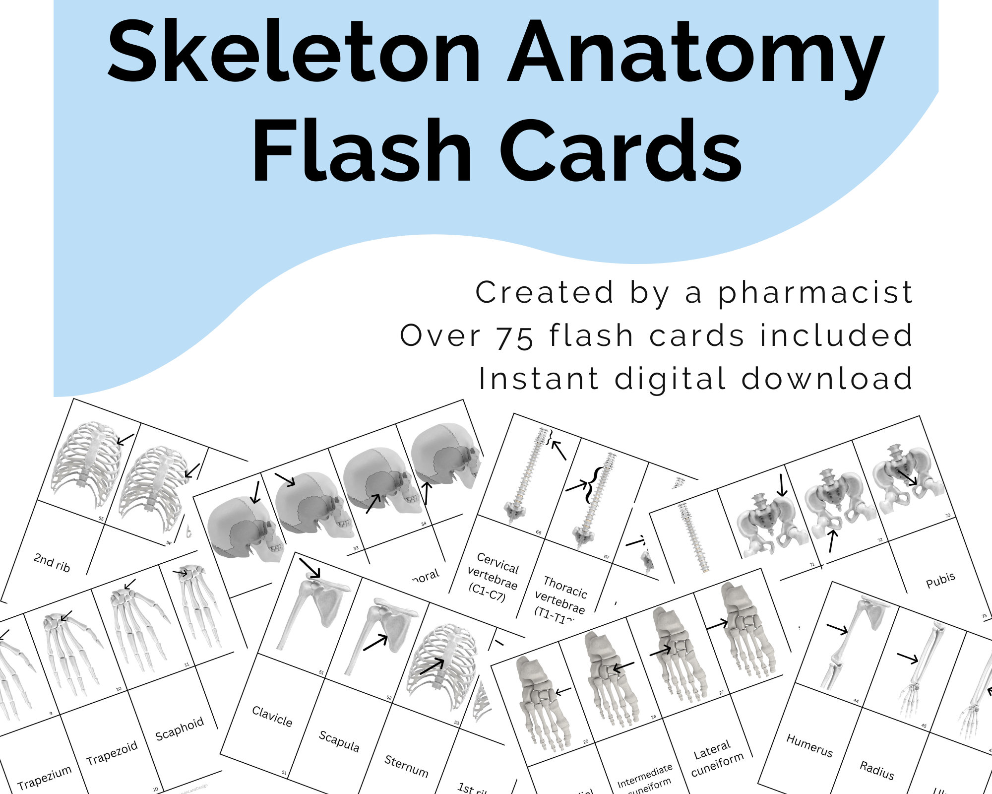 Skeletal System Flash Cards Printable Digital Download, Med School Test ...