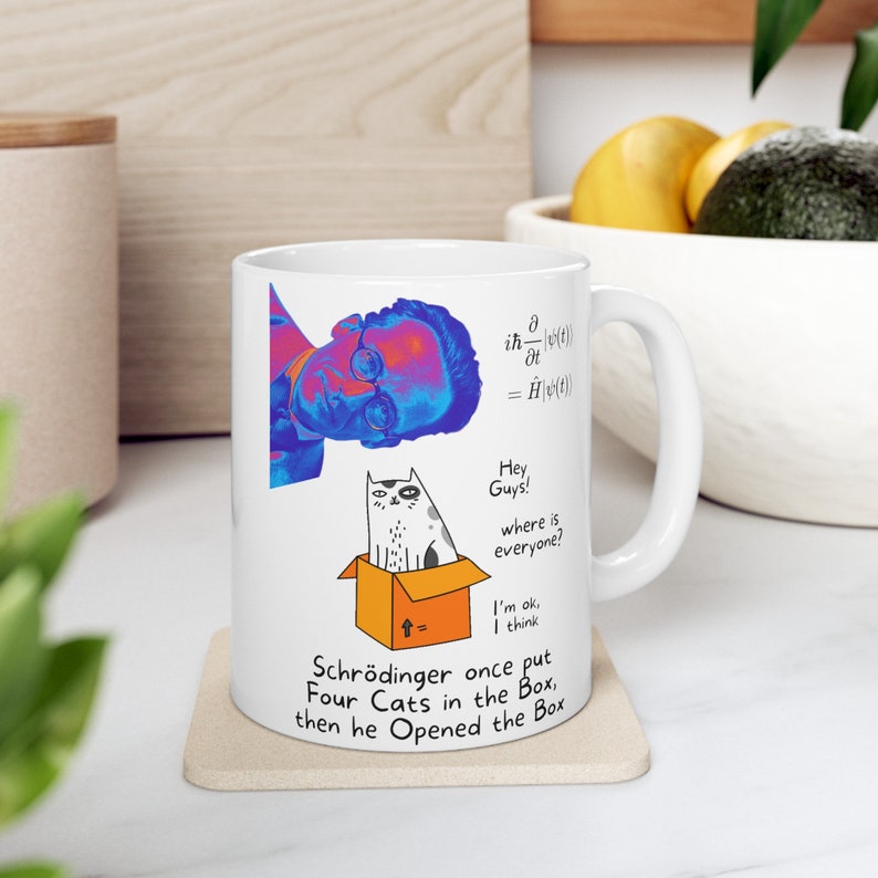 Schrödinger's Cat Physics Mug: Funny Quantum Astrophysics Gift (11oz ...