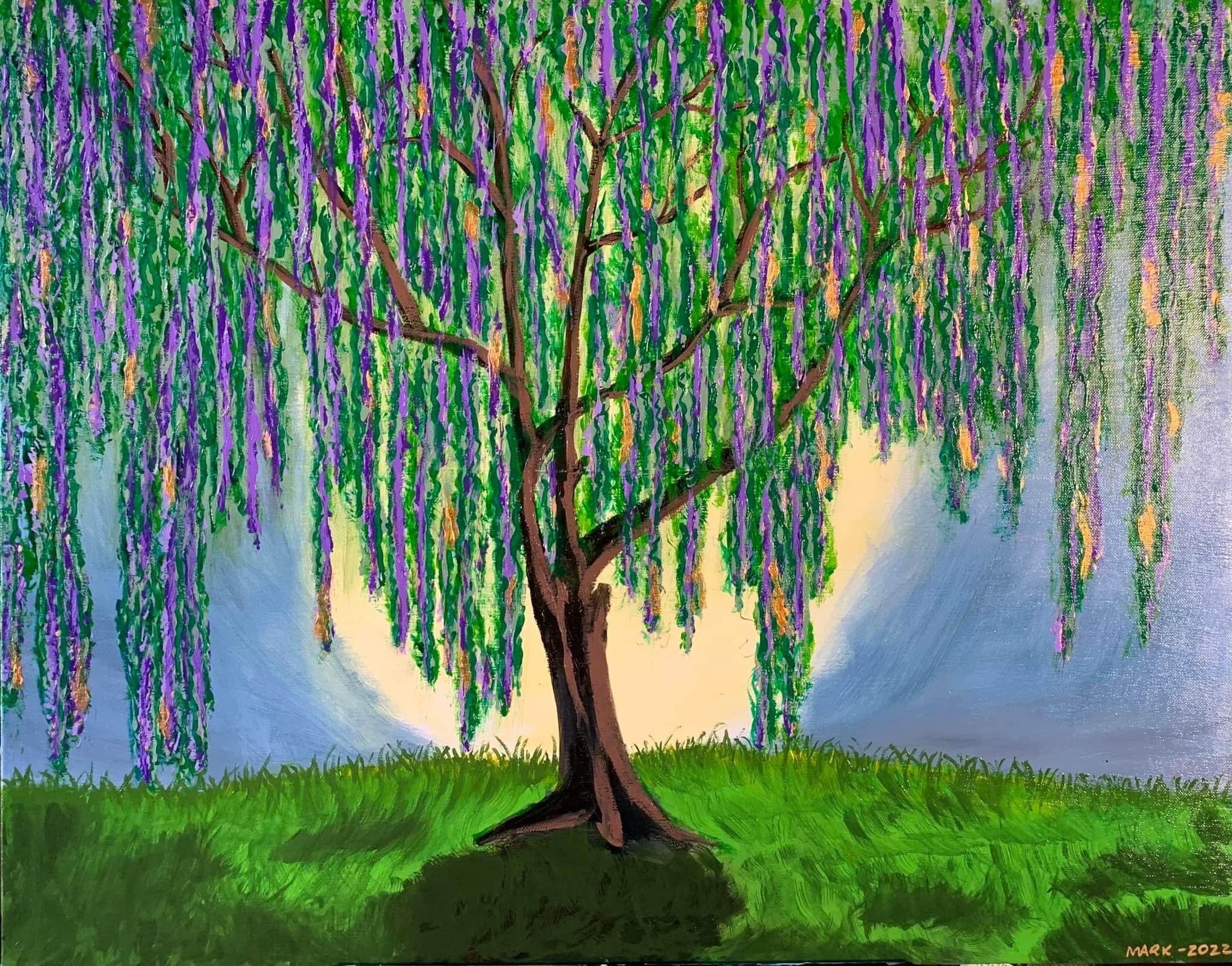 Weeping Willow Tree Photography