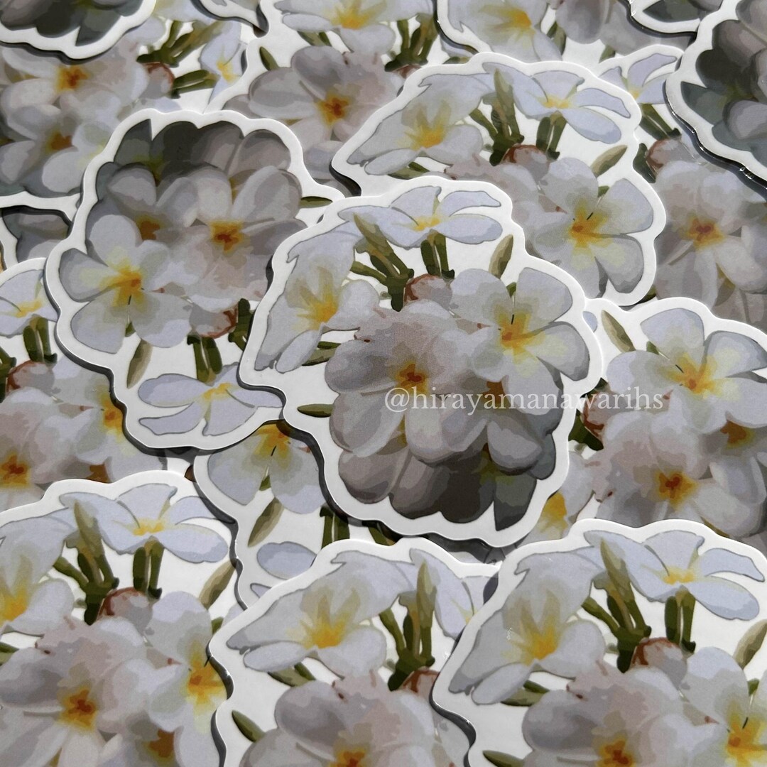 Kalachuchi Flower Vinyl Sticker: Filipino Heritage Art - Etsy