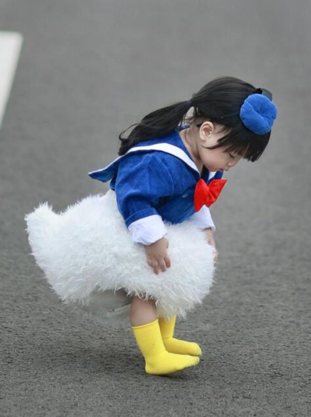 60-100cm Bluebird Jumpsuit Costume / Halloween Parrot Costume ...