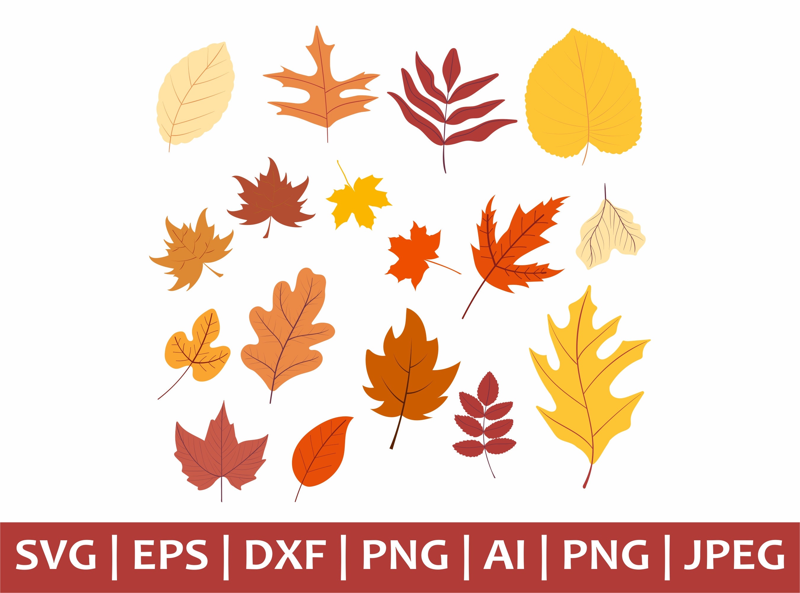 Fall Leaves Svg Bundle, Fall Leaf Svg, Fall Svg, Autumn Svg, Autumn ...