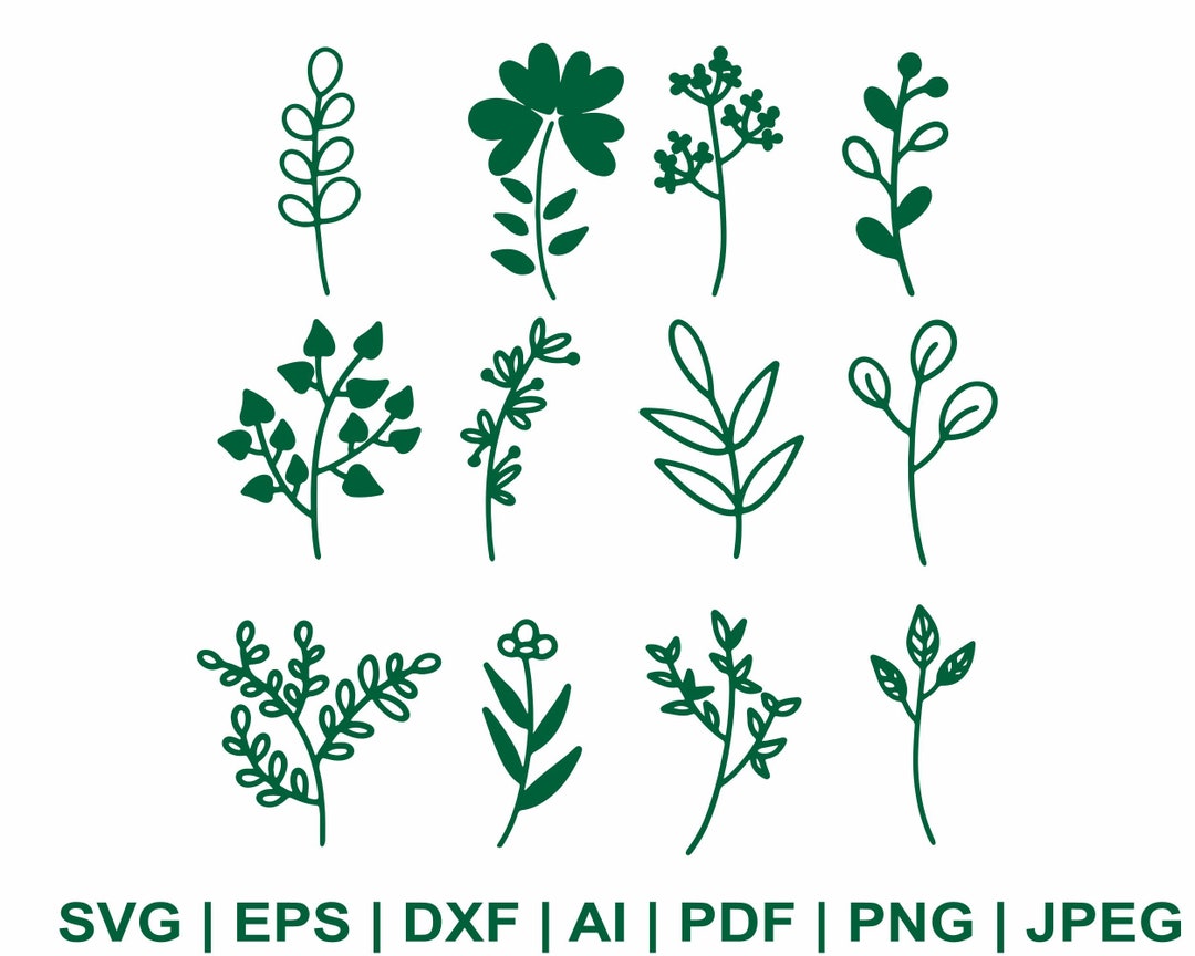 Leaves Svg Plant Svg Greenery Svg Leaf Svg Branch Svg - Etsy UK