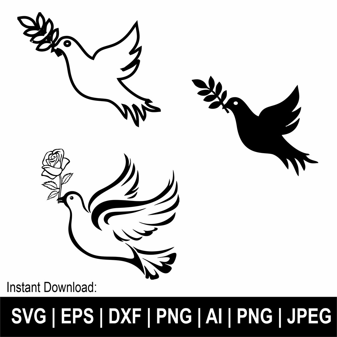 Pigeon Svg, Dove Svg, Bride Svg, Dove Vector Svg, Dove Clipart, T Shirt ...