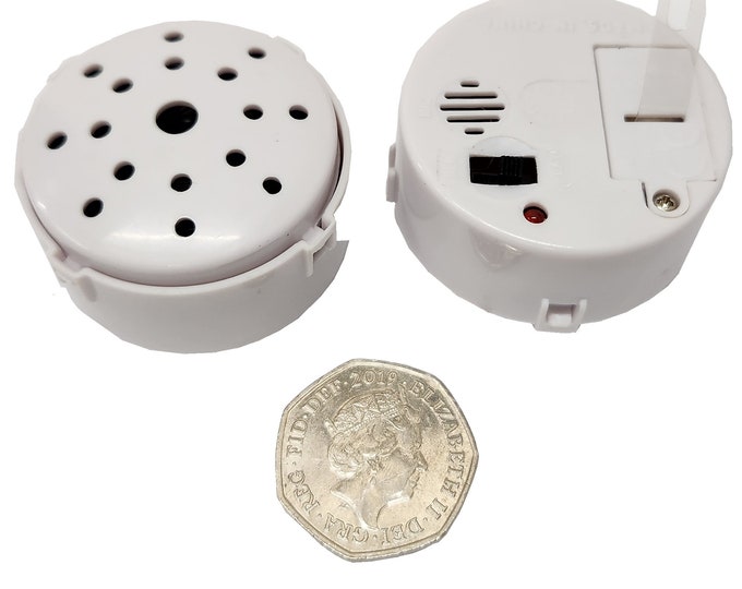 Recordable Voice Recording and Playback Sound Box Module for Building ...