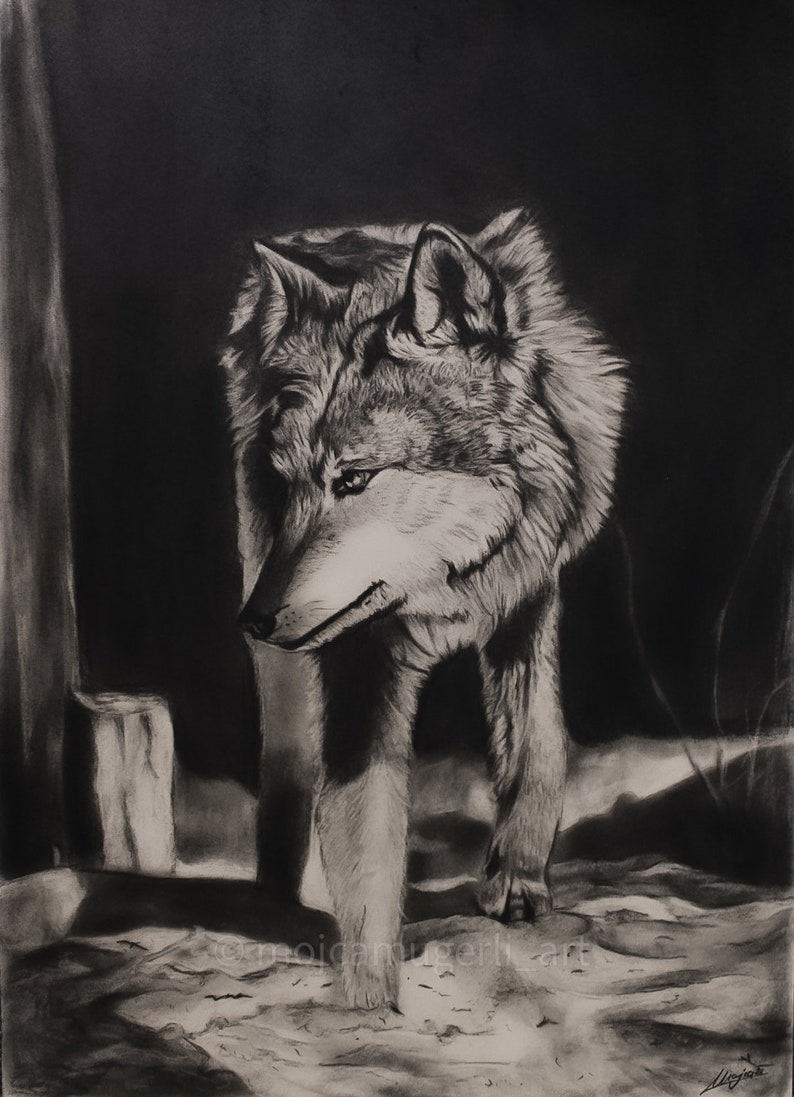 Gray Wolf Charcoal Drawing, Gray Wolf Original Drawing, Original ...