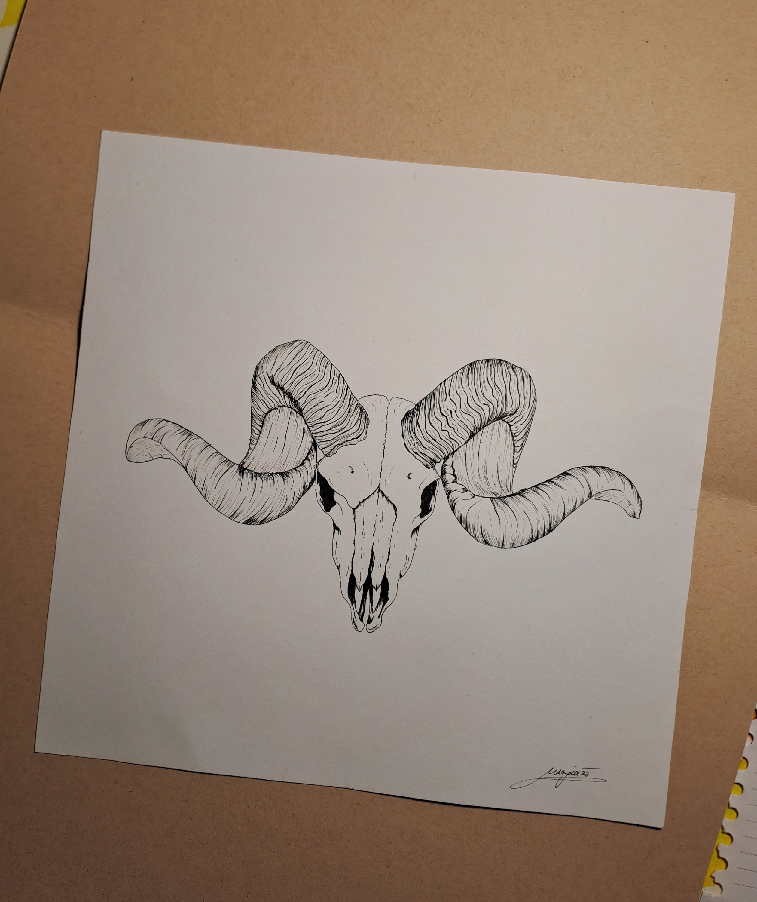 Ram Skull Drawing Printable, Ram Skull Drawing, Printable, Skull ...