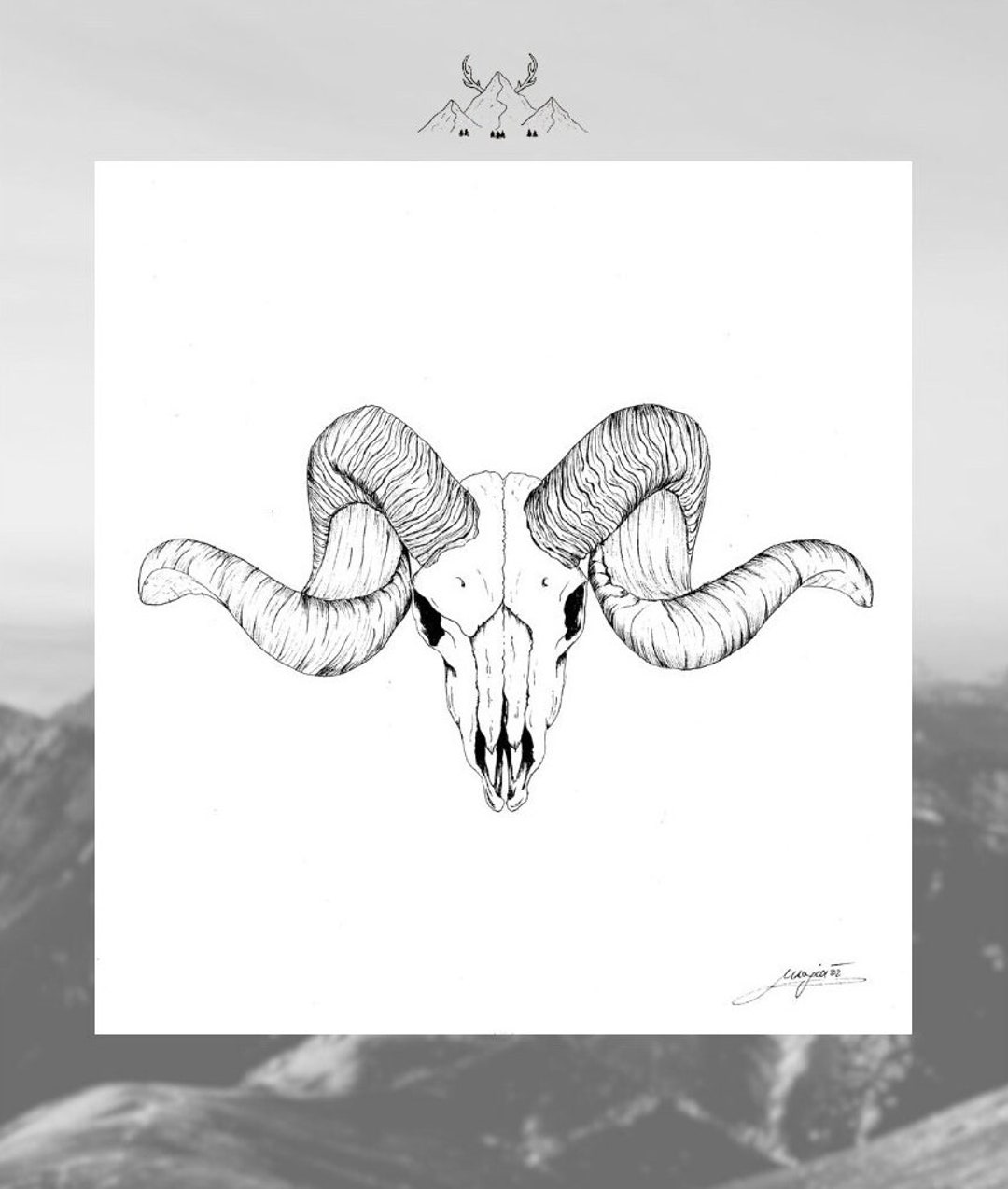 Ram Skull Drawing Printable, Ram Skull Drawing, Printable, Skull Illustration, Digital Wall Art ...