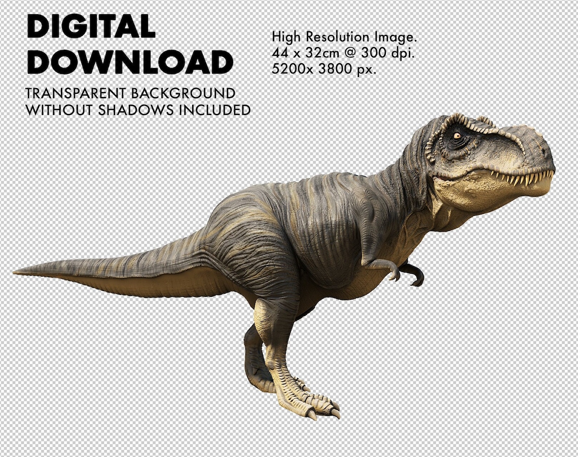 Tyrannosaurus Rex Png, T-rex Png, T Rex Dinosaur Png, Dinosaur Png, Dino Png, T-rex Digital ...