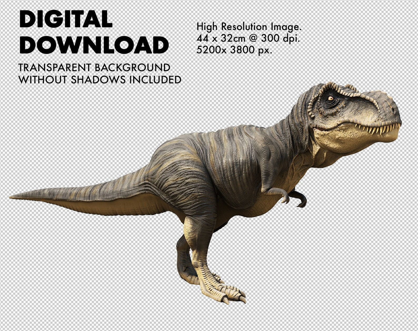 Tyrannosaurus Rex Png, T-rex Png, T Rex Dinosaur Png, Dinosaur Png ...