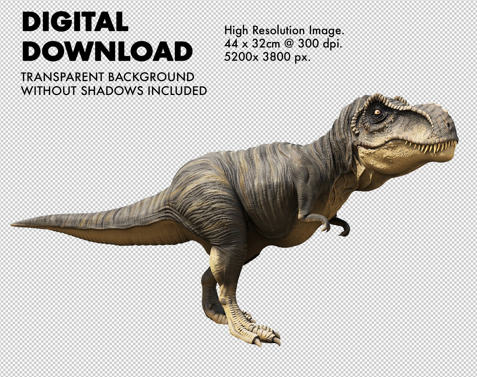 Tyrannosaurus Rex Png, T-rex Png, T Rex Dinosaur Png, Dinosaur Png ...