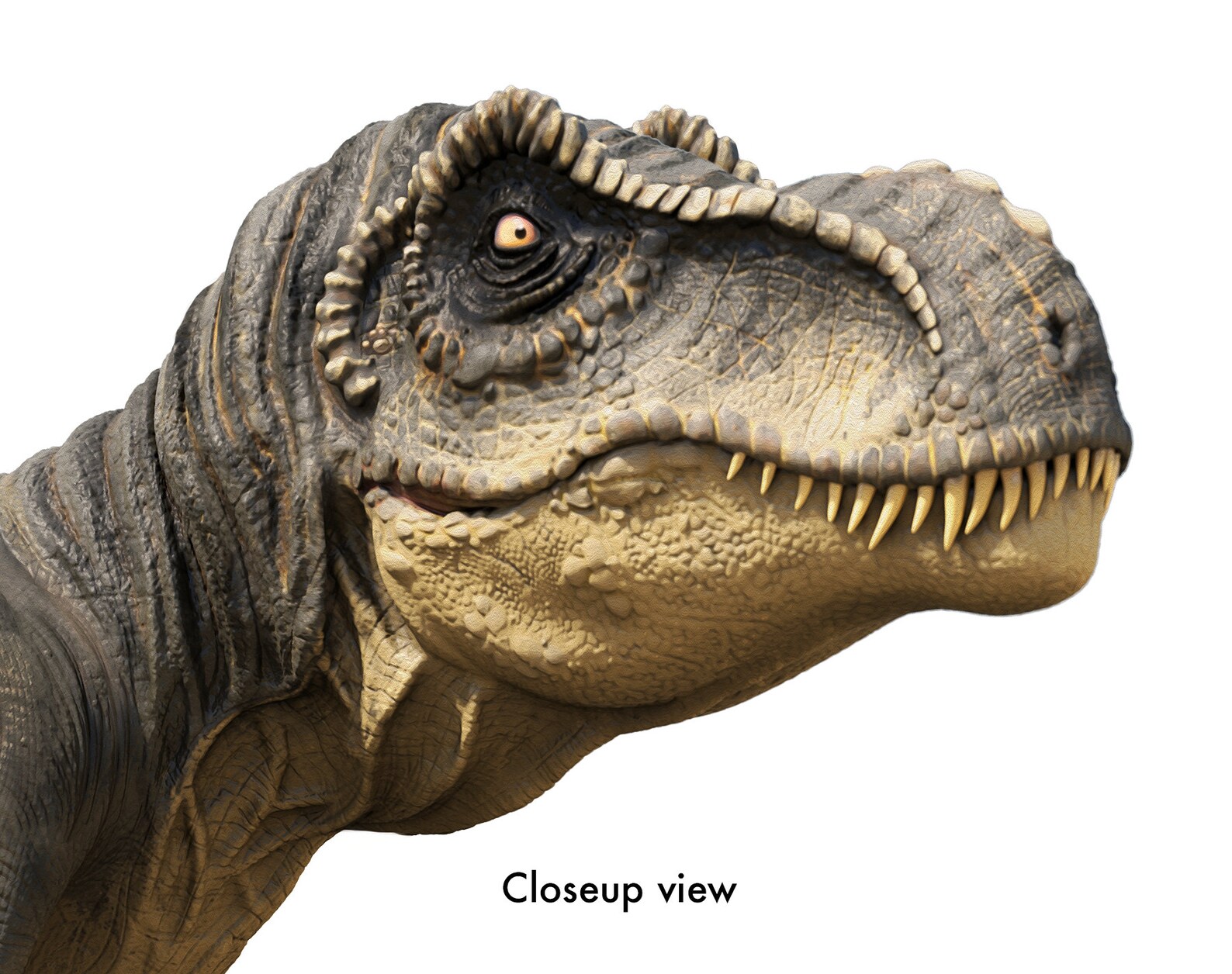 Tyrannosaurus Rex Png, T-rex Png, T Rex Dinosaur Png, Dinosaur Png ...