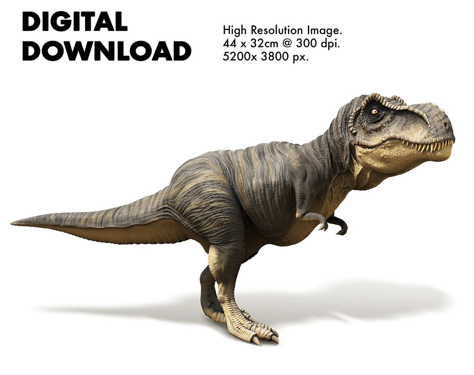 Tyrannosaurus Rex Png, T-rex Png, T Rex Dinosaur Png, Dinosaur Png ...