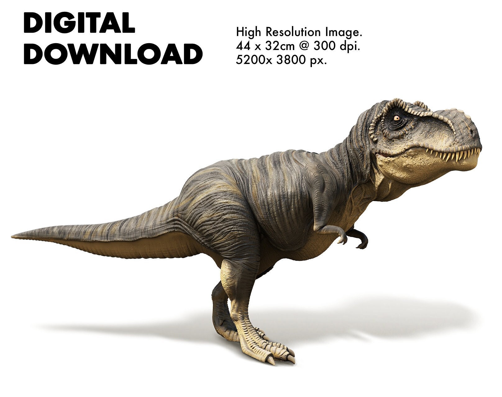 Tyrannosaurus Rex Png, T-rex Png, T Rex Dinosaur Png, Dinosaur Png ...